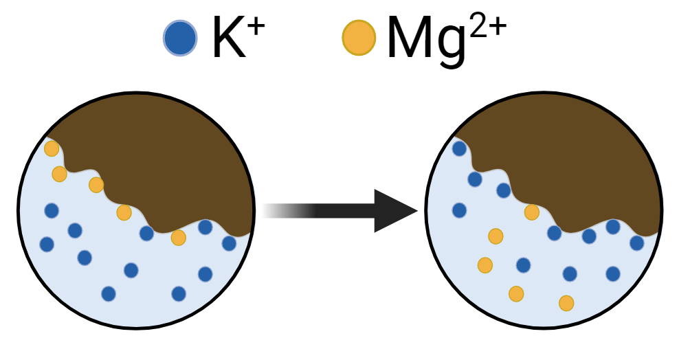 Cours 1 - Sol Abiotique
