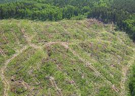 Cours 12 - Gestion du sol