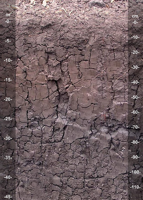 Cours 2 - Pédogenèse